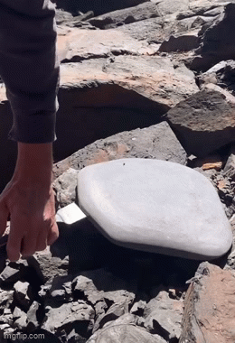 Ancient fossil! - Imgflip