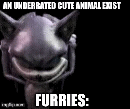 Furries has Ruined my Favourite Animal : ( - Imgflip