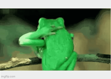 The Self Cleansing Frog - Imgflip