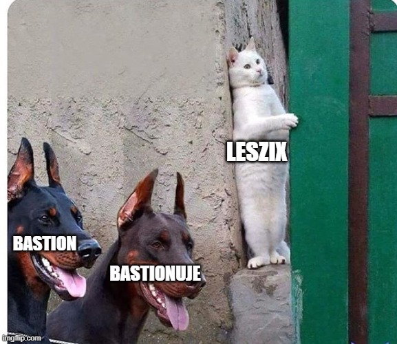 Hidden cat - Imgflip