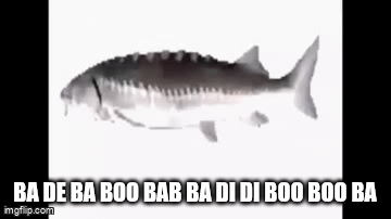 Feesh speen - Imgflip