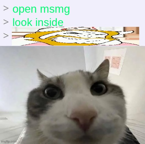 Greentext 'look inside' X meme - Imgflip