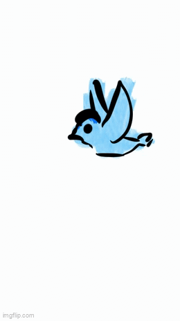 Bird flying - Imgflip