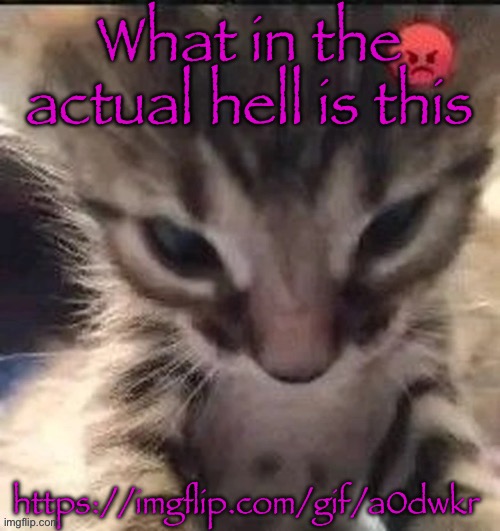 What even - Imgflip