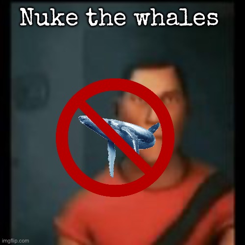 Disappointed Scout - Imgflip