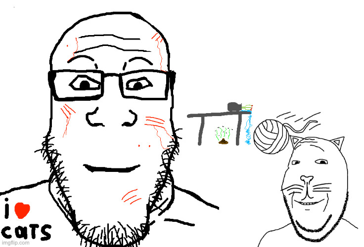 Average cat enjoyer - Imgflip