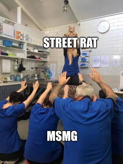 street rat is the way to eternal salvation. do not trust memus - Imgflip