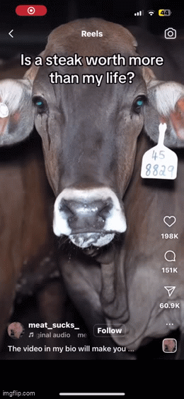 Animated GIF - Imgflip