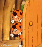 Cocomiel Cococinel Coco orange - Imgflip