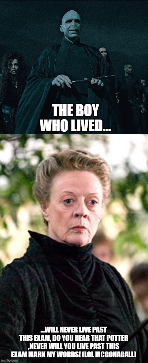 mcgonagall vs voldemort - Imgflip