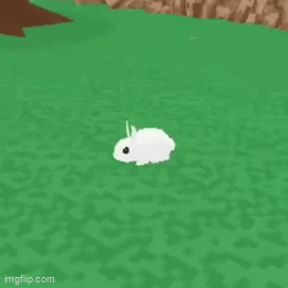 Animated GIF - Imgflip