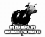 Dancing cow - Imgflip