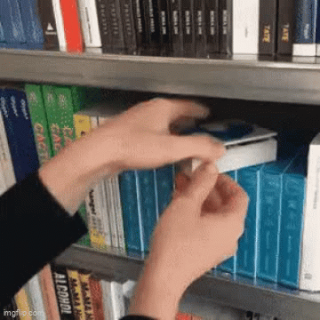 Mount Fuji In A Book - Imgflip