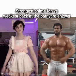 This is a joke btw - Imgflip