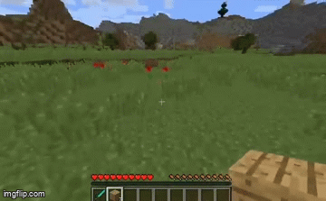 Animated GIF - Imgflip