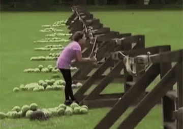 Darwin Award Competitor - Catapult Category - Imgflip