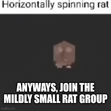 spinning rat - Imgflip
