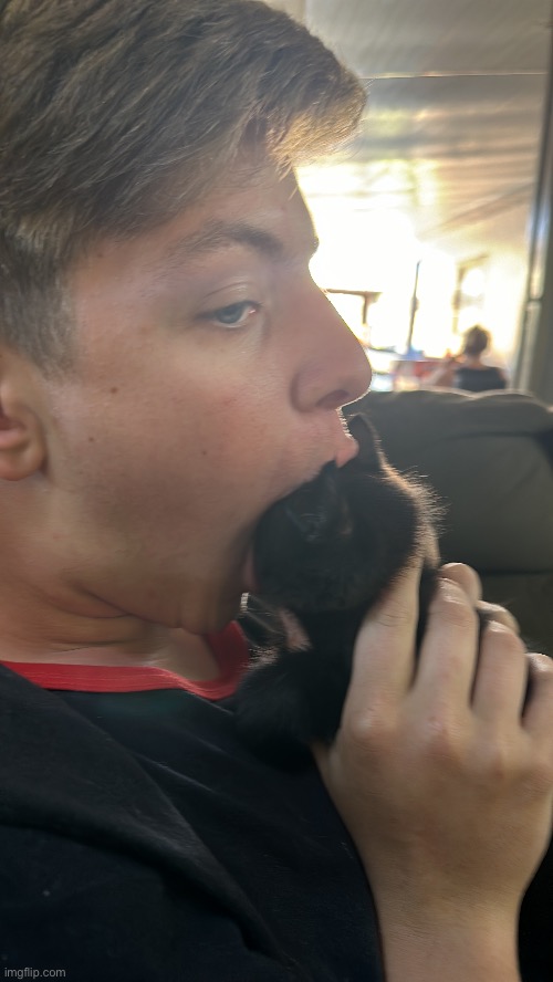 My cousin giving his cat a blowjob - Imgflip