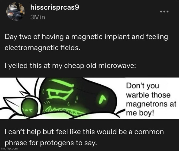 Honestly, mot sure if I should post this - Imgflip