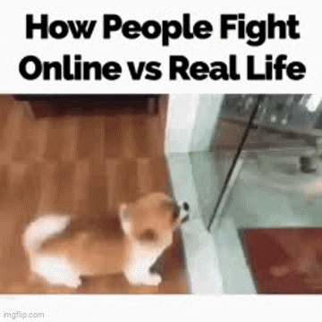 How people fight online vs irl - Imgflip