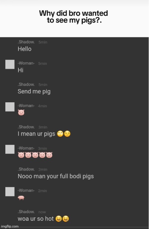 Why did bro wanted to see my pigs? - Imgflip