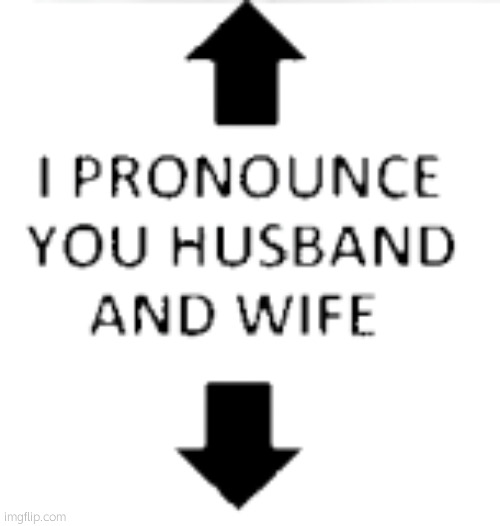 I pronounce you husband and wife - Imgflip
