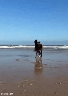 Running Free ! - Imgflip