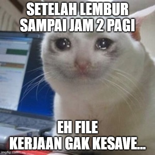 Crying cat - Imgflip