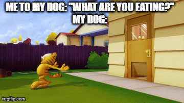 I don't actually own a dog - Imgflip