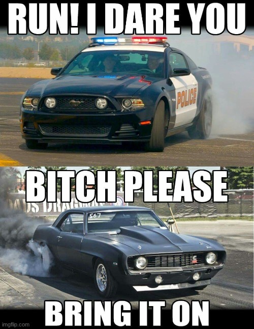 It's a yanko it can snap a speedo in 5 seconds(Guess the Reference) - Imgflip