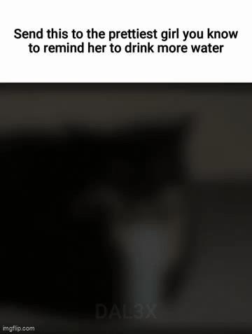 Animated GIF - Imgflip