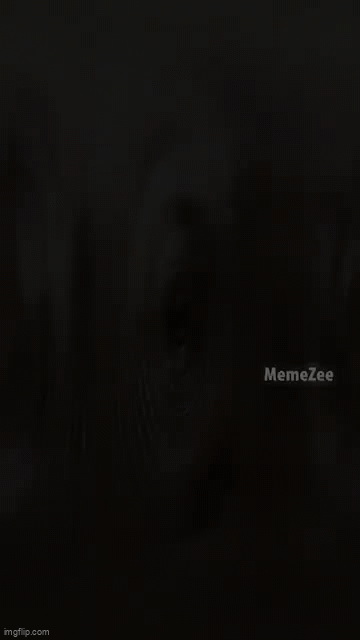 Animated GIF - Imgflip