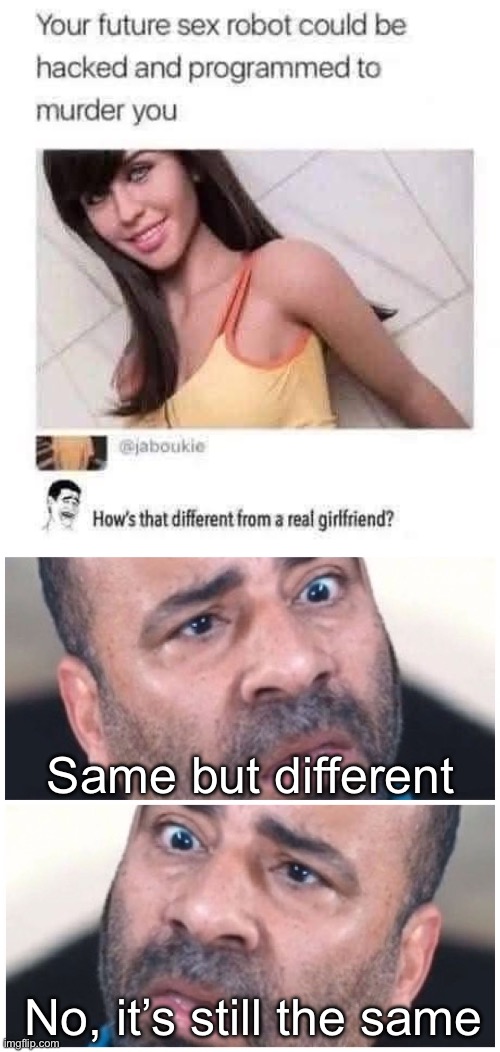 The future of robotic girlfriends (therefore an ethical hacker move) - Imgflip