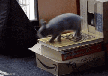 That's A Lot Of Rabbits ! - Imgflip