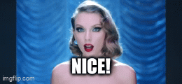 Nice! - Imgflip