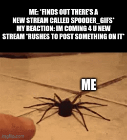 OOOH YEZ NEW STREAM - Imgflip