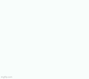 Animated GIF - Imgflip