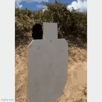 The 'Hostage Taker' Moving Target Solution ! - Imgflip