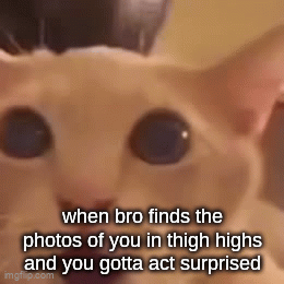 we ALL relate to ts - Imgflip