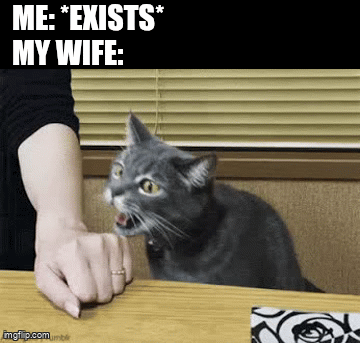 Expert mauler... - Imgflip