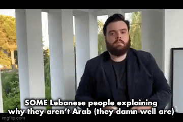 Arab league slander PART 5 - Imgflip