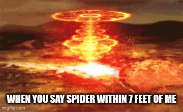 pov you see a spider - Imgflip