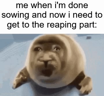 Imgflip