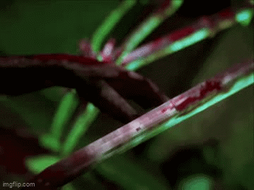 GRAILED - 1nonly, Freddie Dredd - Imgflip