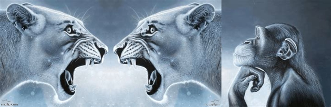 Brody situation is insane - Imgflip