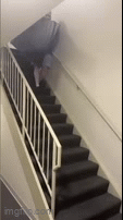 When You Prolly Shouldn't Carry It Yourself - Imgflip