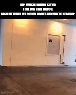 a clever title for my gif - Imgflip