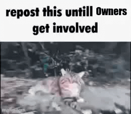 repost this untill owners get involved - Imgflip