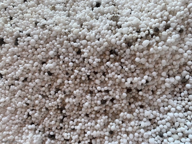 Mmmmmm cookies and cream dippin dots - Imgflip