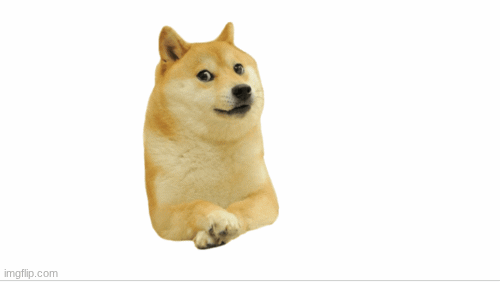 doge spin! - Imgflip